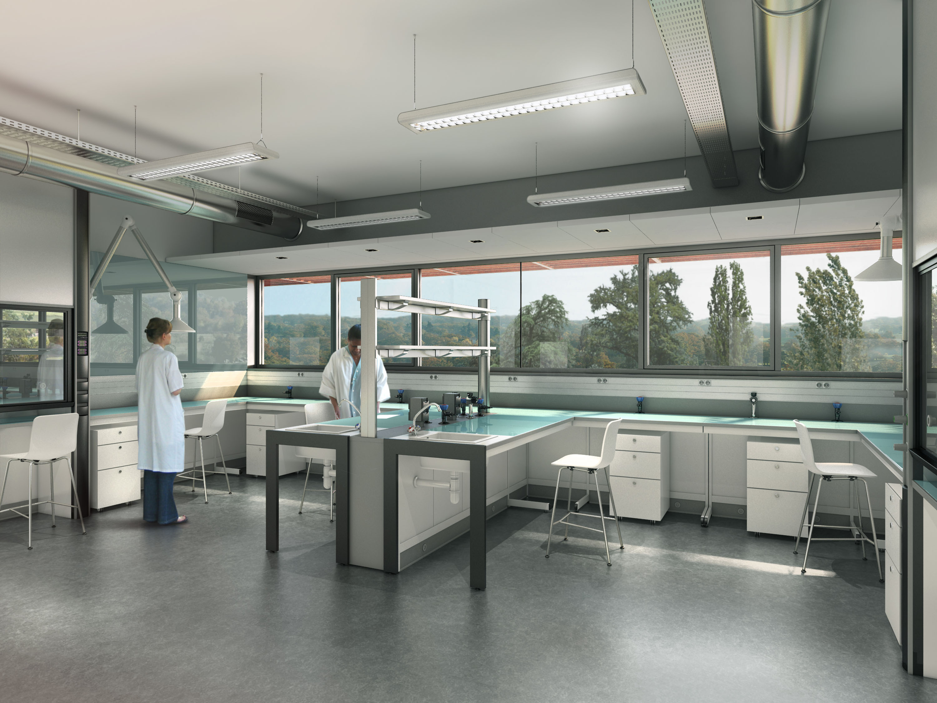 INSTITUT DE BIOLOGIE INTEGRATIVE DE LA CELLULE (I2BC) - Ragueneau & Roux